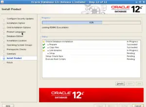 Step by Step Oracle 12c Database Installation on Linux - Techgoeasy