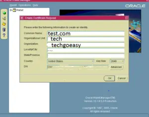 Enabling TLS in R12.1 - Techgoeasy